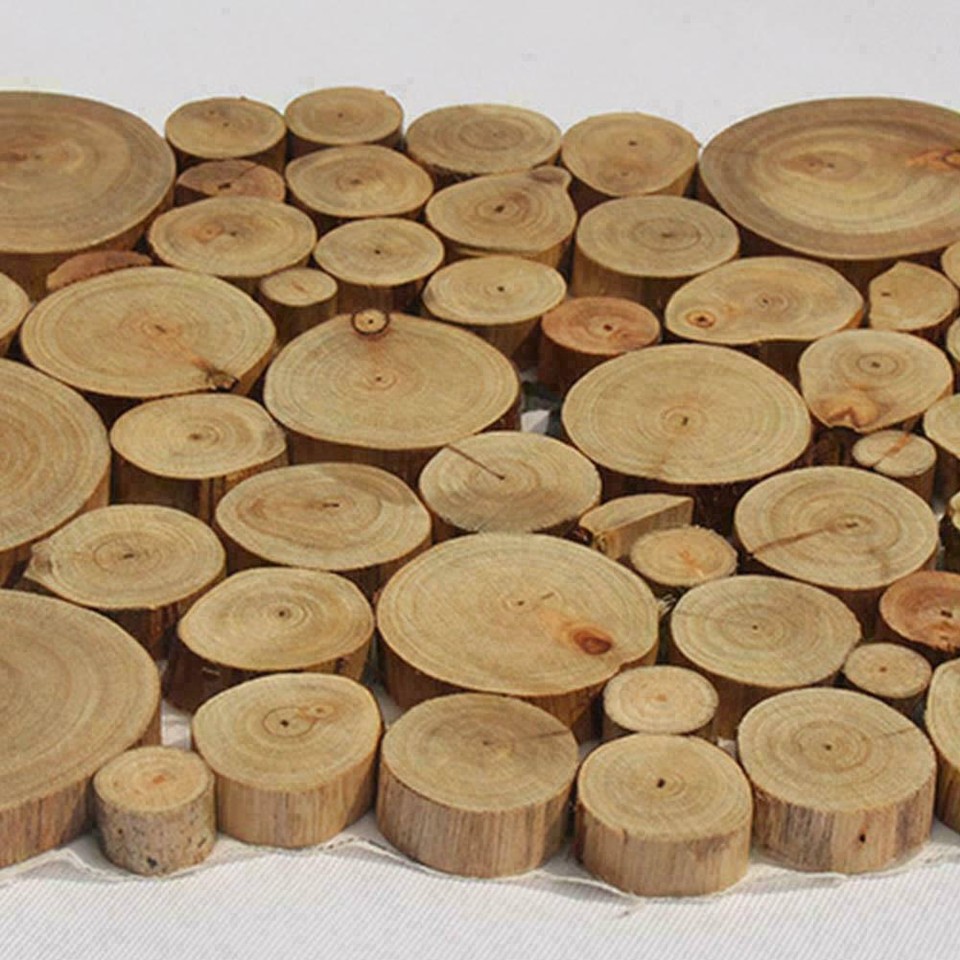 100pcs Natural Pine Wood Slices Round Disc Tree Bark Circ Craft Chips ...