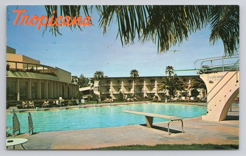 The Tropicana Hotel Pool Las Vegas Nevada Postcard | eBay