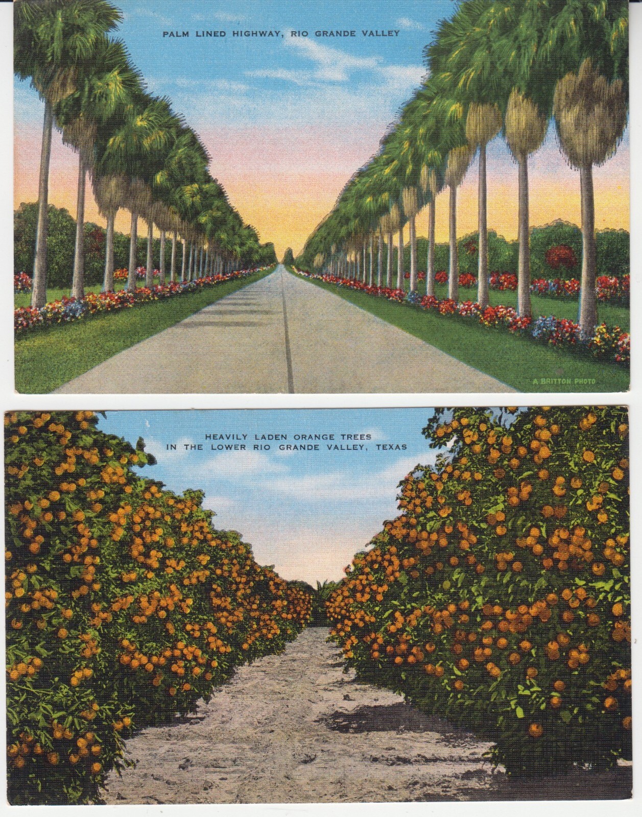 (2) Vintage RIO GRANDE VALLEY "Natural Color Card" Postcards - E.C ...