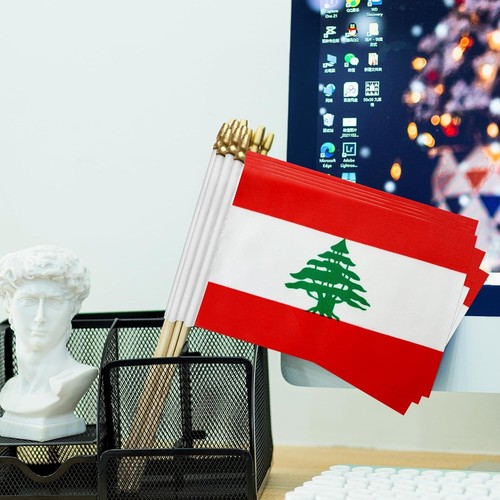 TSMD Lebanon Stick Flag Lebanese Republic Small Mini Hand Held | eBay