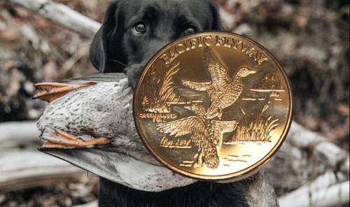 Ducks Unlimited Pacific flyway Alaska Mint Duck hunting lab call Token ...