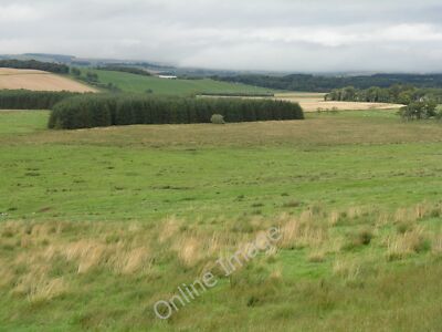 Photo 6x4 Midlothian landscape Middleton/NT3657 Plantation, rough ...