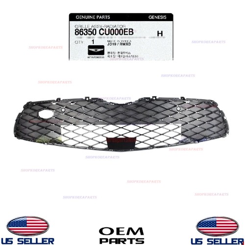 Genuine OEM Front Radiator Grille 2023-2025 Genesis GV60 86350-CU000-EB ...