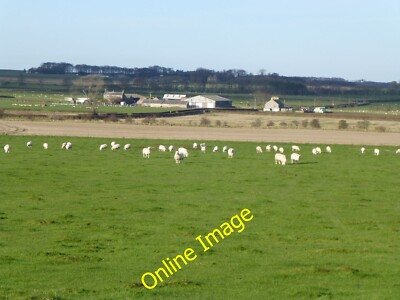 Photo 6x4 East Fleetham Swinhoe Across pasture with sheep and arable ...