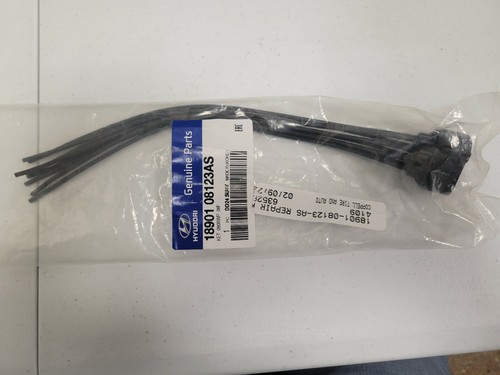 18901-08123-AS - GENUINE HYUNDAI REPAIR KIT WIRING - NEW IN PACKAGE | eBay