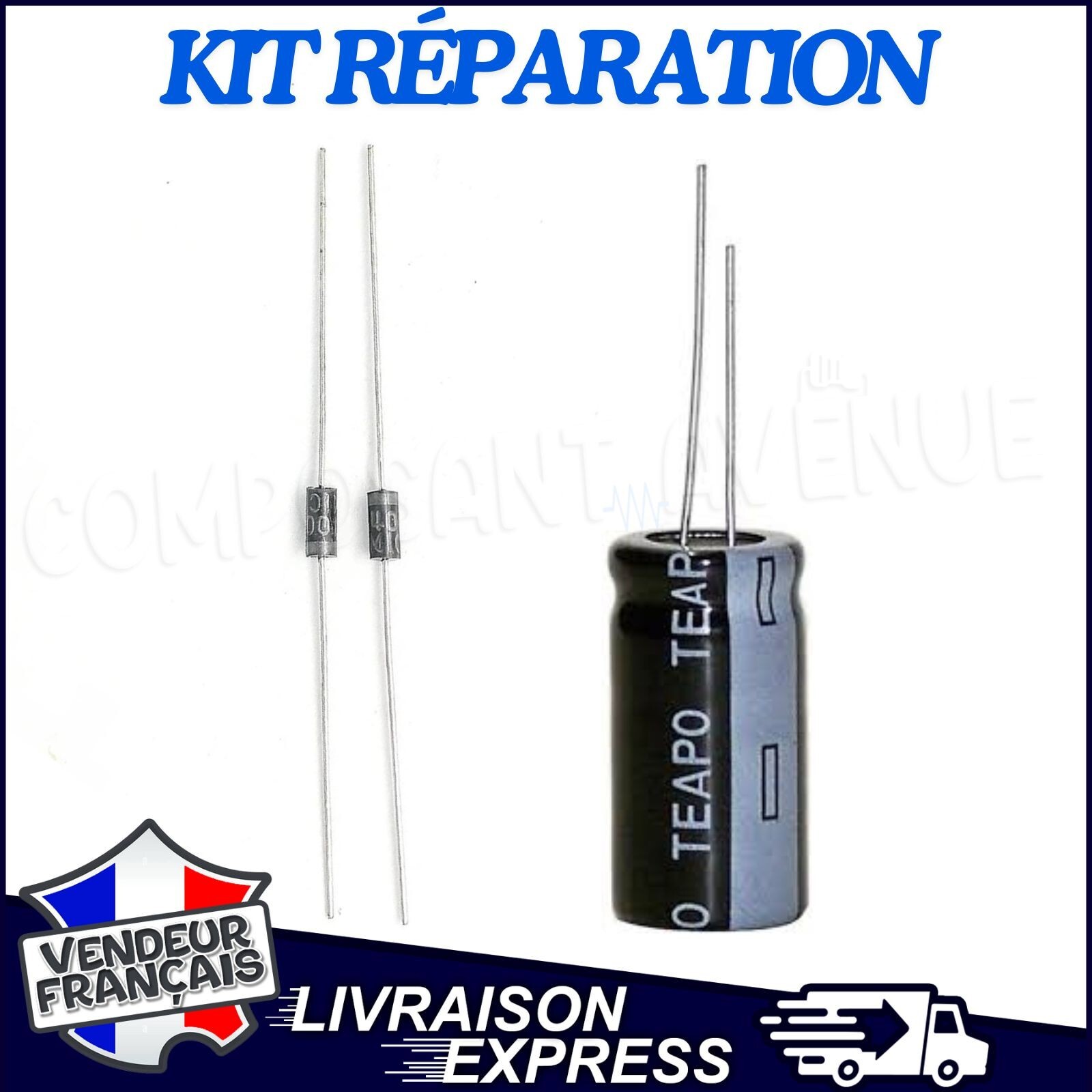 KIT RÉPARATION 2 DIODES SB260 SR260 3300µF 10V DPS-28-CP-2A (2203) | eBay
