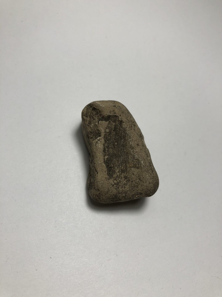 Small Rare Natural Fossil Impression Unique Ancient Old Stone ...