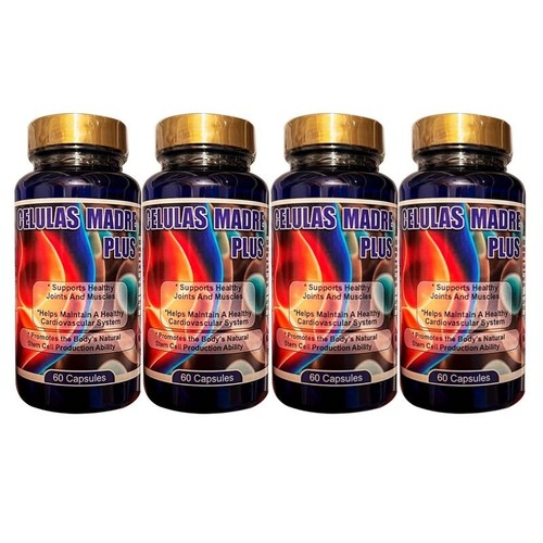 4 Celulas Madres Cell Plus Regenerador Biotrix Bacterium Bioxtron ...