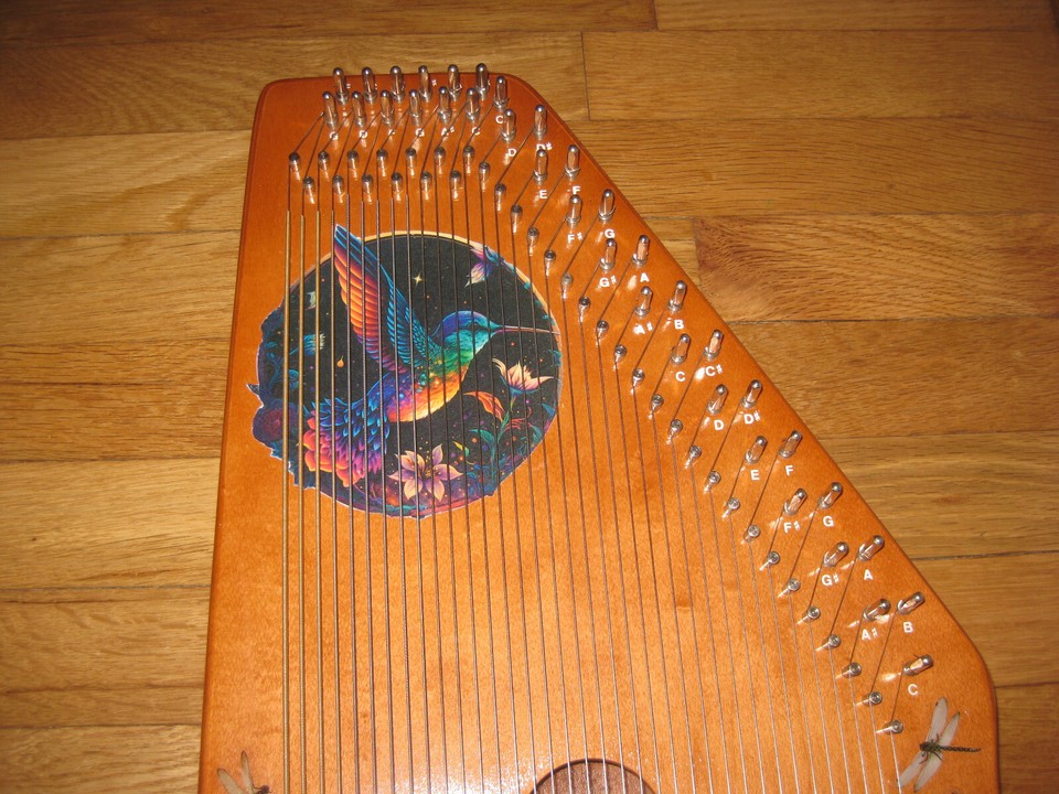 Therapy Harp Swarmandal Pentatonic Infinity Tuning with Case 444hz | eBay