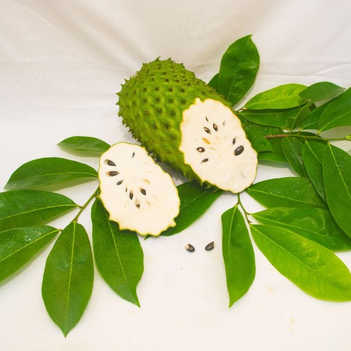 Giant Soursop Muricata country Fruit Anoda Sitha Mullu Annona sugar ...