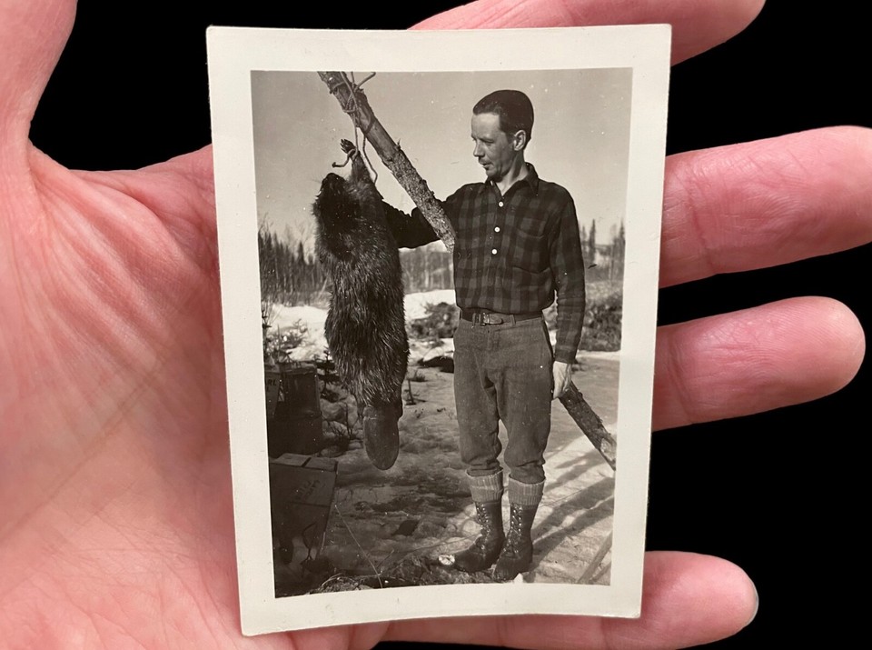 MAN WITH HUGE BEAVER HUNTER or TRAPPER SHOWING OFF HIS BEAST | eBay