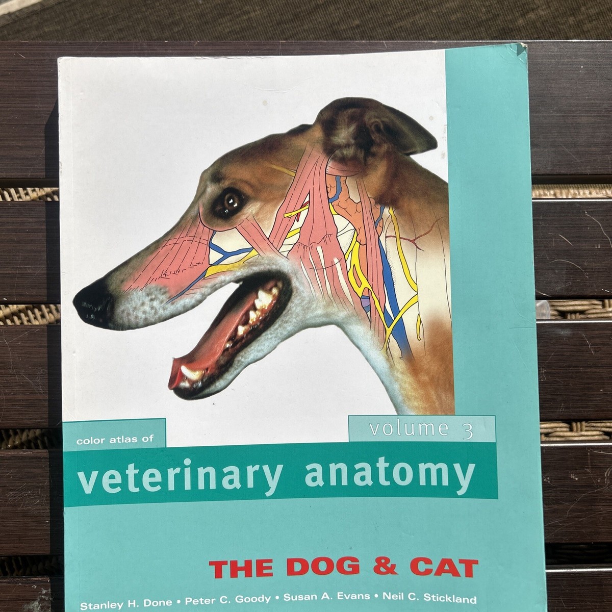 Atlas Of Veterinary Anatomy Lt Veterinary Physiology | Online Learning