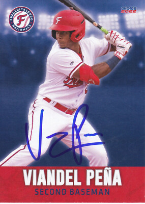 Viandel Pena Signed IP 2022 Fredericksburg Nats Card #15 Washington ...