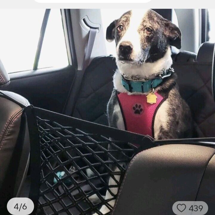 Elastic car separation for dog and cat,use anti-collision mesh | eBay