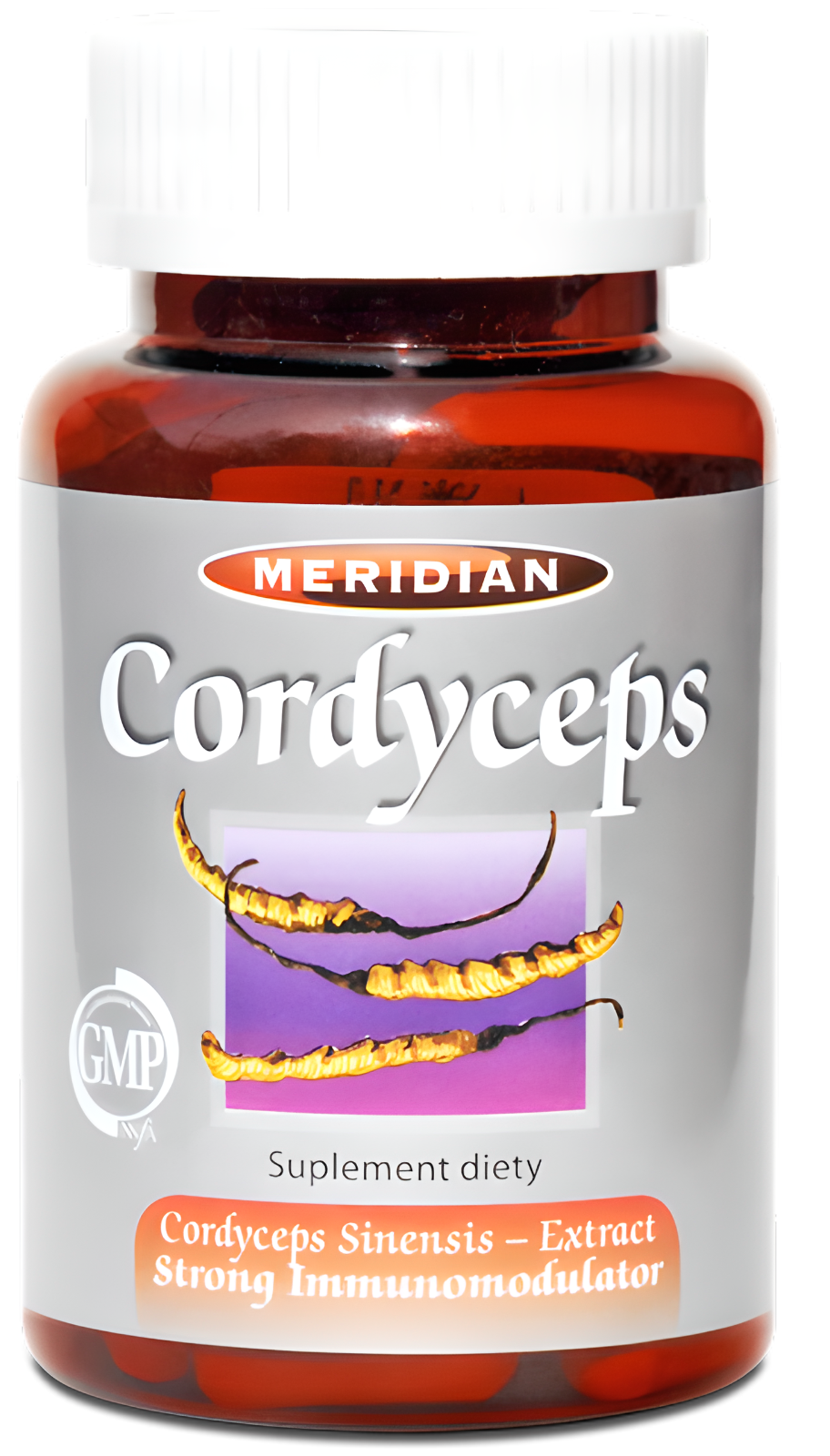 CORDYCEPS Mycelium Mushroom Extract (Cordyceps Sinensis) Meridian® 60 ...