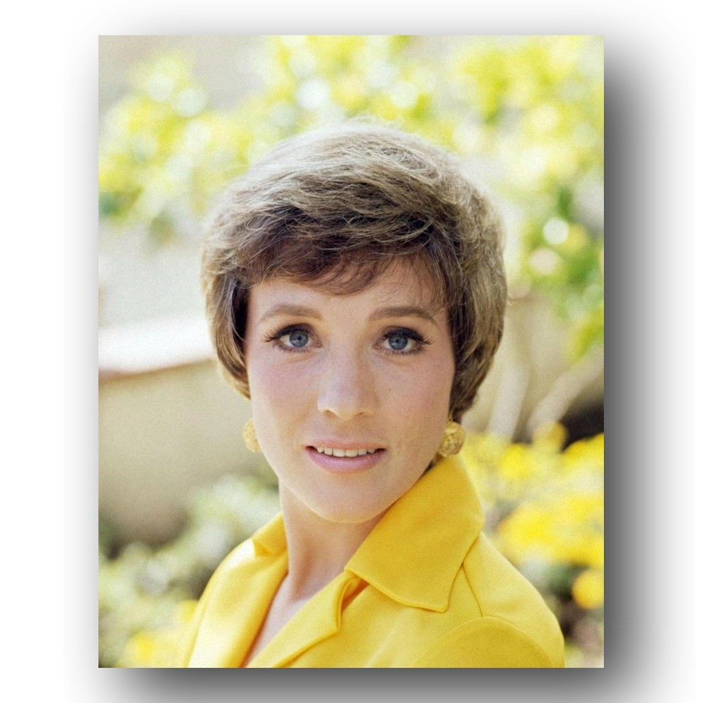 Julie Andrews Cinderella In Color