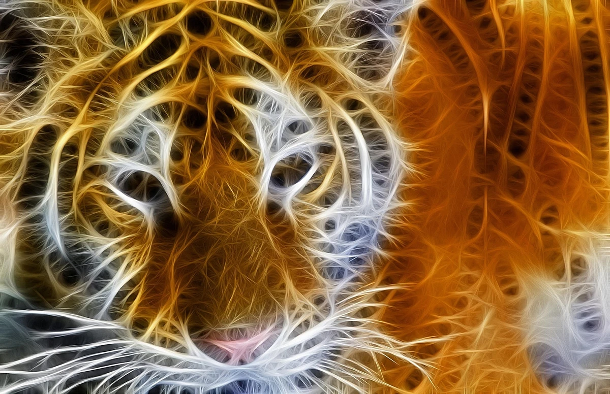 Fractal Art Animals