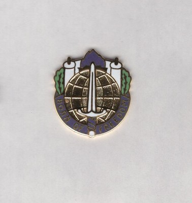 US Army 351st Civil Affairs Command crest DUI c/b clutchback badge G-23 ...