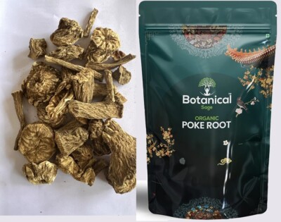 Poke Root Phytolacca Americana Pokebush Pokeberry Poke Sallet 100gm ...