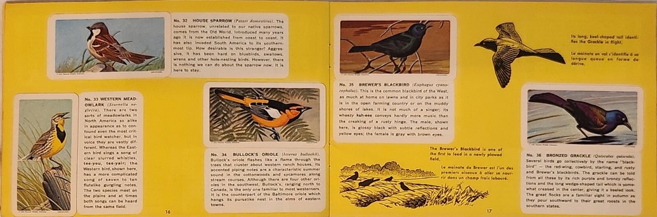 1965 BROOKE BOND CANADIAN-AMERICAN SONGBIRDS - COMPLETE SET IN ALBUM ...