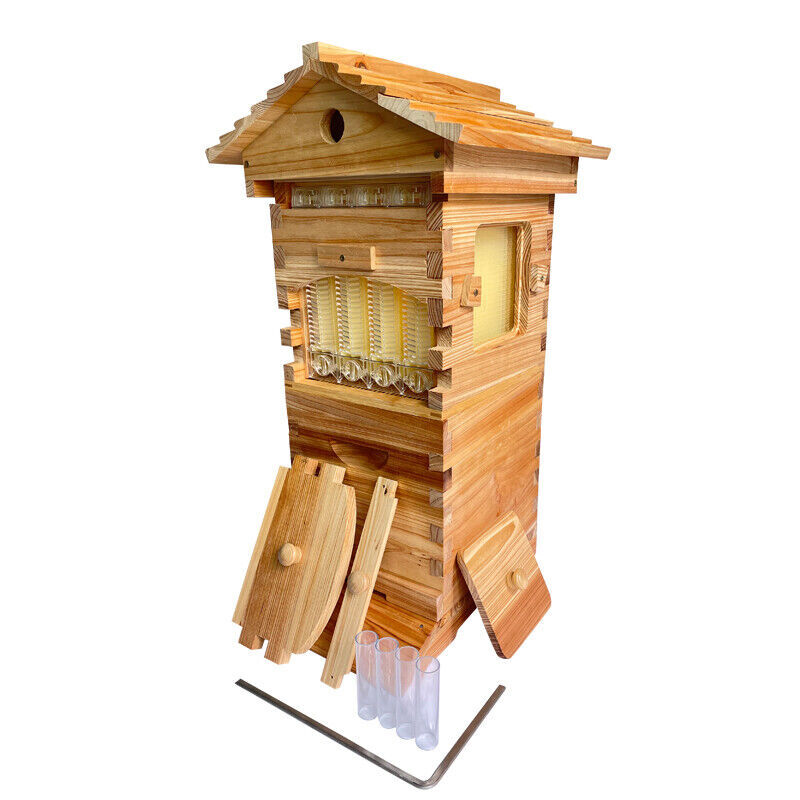 Mini Wood Auto Bee Hive House Beekeeping Beehive Boxs +10x Auto Bee ...