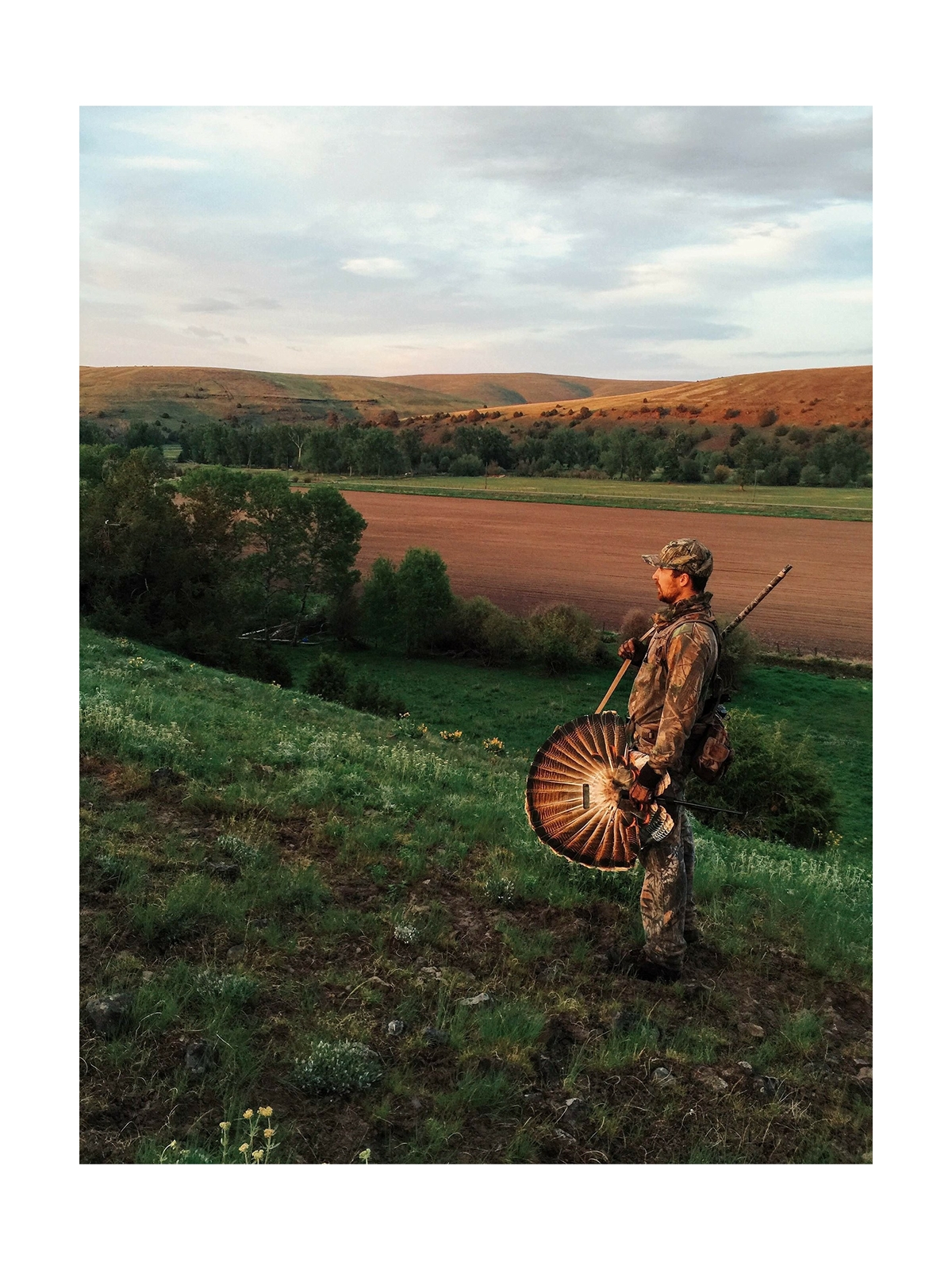 MONTANA DECOY Fanatic Reaping Decoy Packs Turkey Light Realistic Light ...