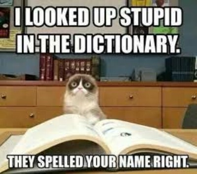 I Looked Up Stupid In The Dictionary They Spelled Your Name Right ...