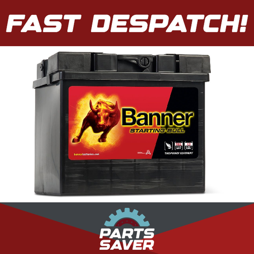 53034 Banner Caterham Car Battery 12V 30Ah | eBay UK