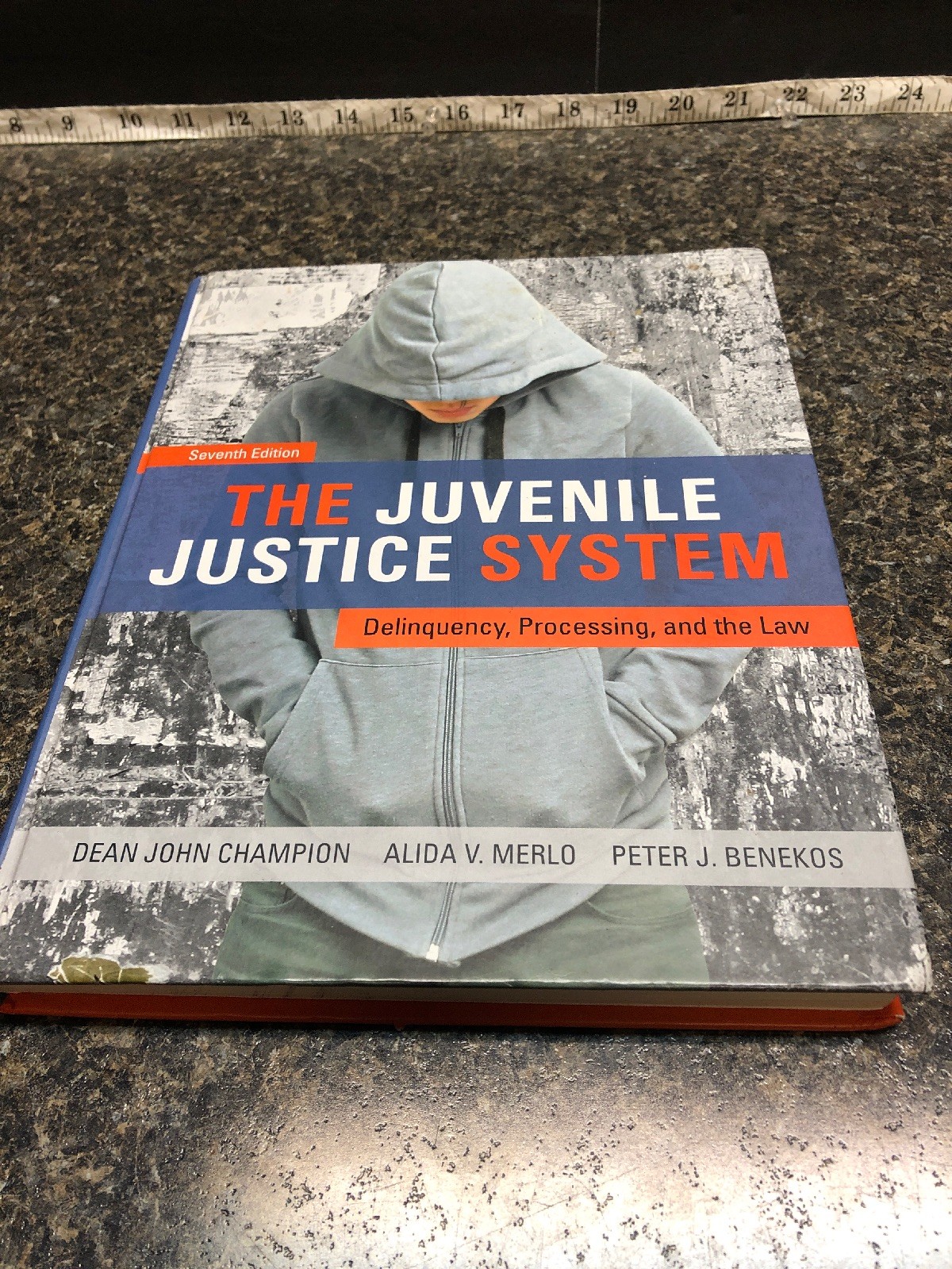 The Juvenile Justice System: Delinquency, Processing, and the Law (7th ...