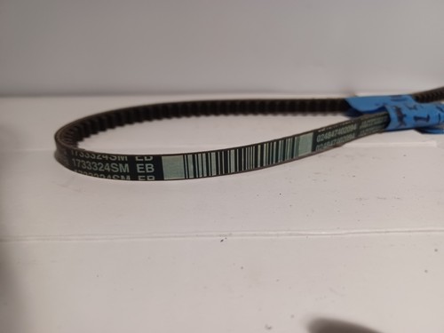 Genuine Briggs & Stratton BELT DRIVE Part Number 1733324SM | eBay