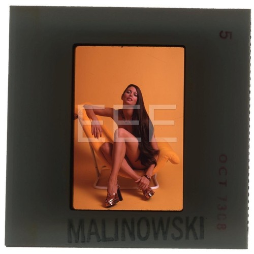 Deborah Shelton Dallas Actress Original Stan Malinowski 35mm ...