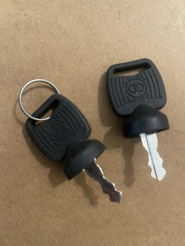 Set Of 2 OEM JLG 8035807 Key Ignition Skyjack Keys | eBay