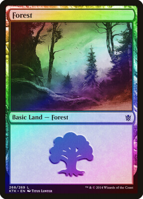 Forest (268) FOIL Khans of Tarkir NM Basic Land MAGIC GATHERING CARD ...