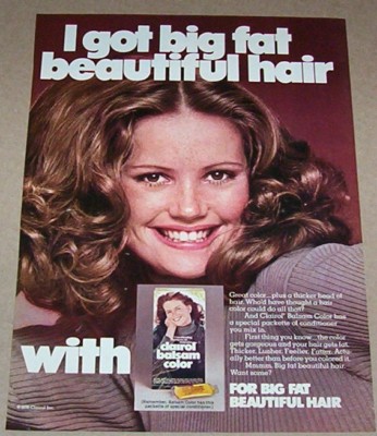 1976 print ad page - Clairol Balsam Color haircolor Sexy Girl Hair ...