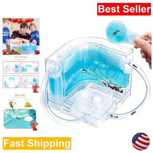Innovative Ant Farm Castle 2.0 with Live Ant Observation - Science ...