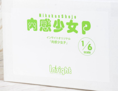 Insight Official Nikkan Girl P 1/6 scale 129mm PMMA figure 2021 japan ...