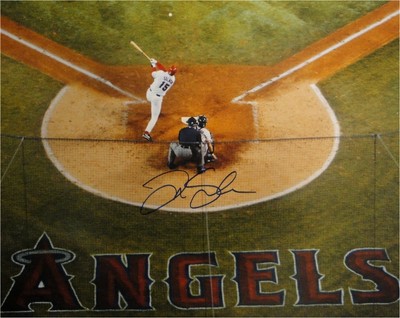 Tim Salmon Hand Signed Autographed 16x20 Photo Anaheim Angels At Home ...