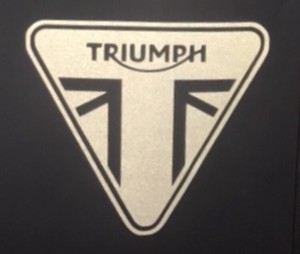 1 X Triumph Vinyl Sticker Graphic Decal In Reflective White/ Bike ...