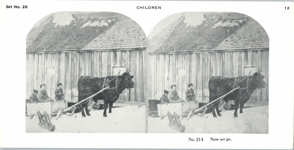CHILDREN BEING PULLED BY COW "NOW WE GO." STEROVIEW 14-72 | eBay