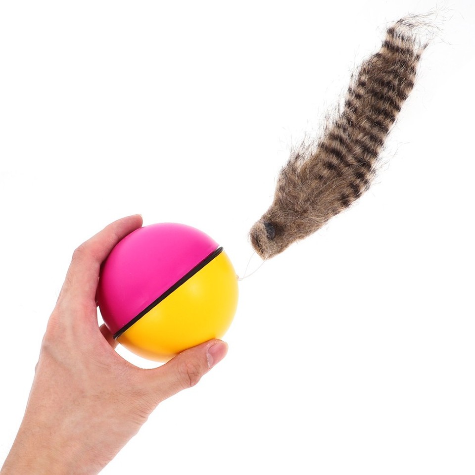 2pcs Beaver Ball Electric Beaver Toy Weasel Toy Rolling Ball Toy Toy ...
