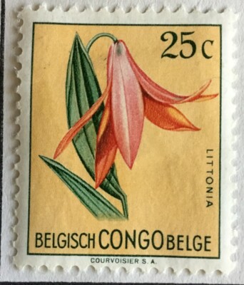 Littonia Flower Stamp | eBay