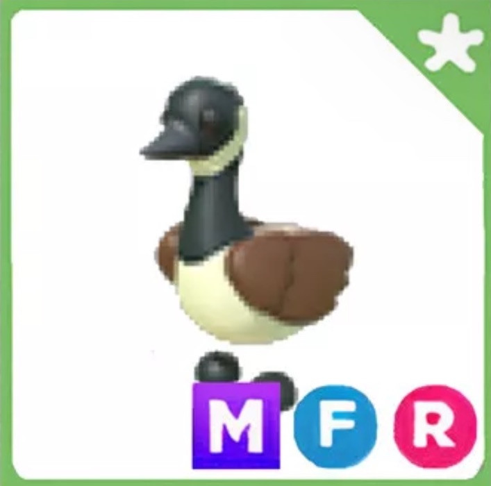 Adopt A Pet from Me - MFR Canadian Goose -Fast Delivery- Mega Neon Fly ...