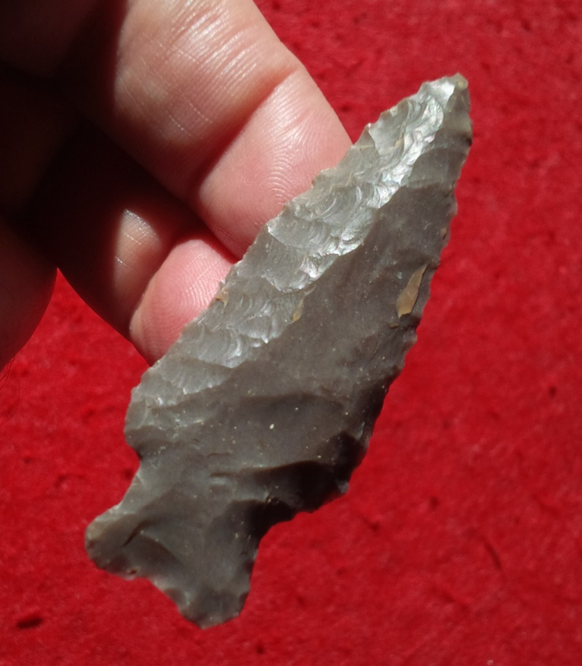 2-1/2" HEAVY DUTY INDIANA ARROWHEAD - BEN STERMER COA Authentic ...