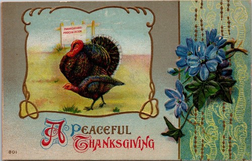 Vintage Peaceful THANKSGIVING Postcard Turkeys LACE Blue Flowers Silver ...