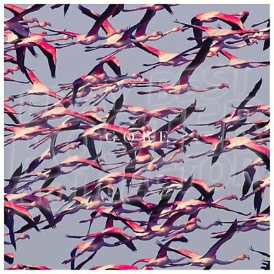 Deftones Gore Banner Album Cover Poster v2 | eBay