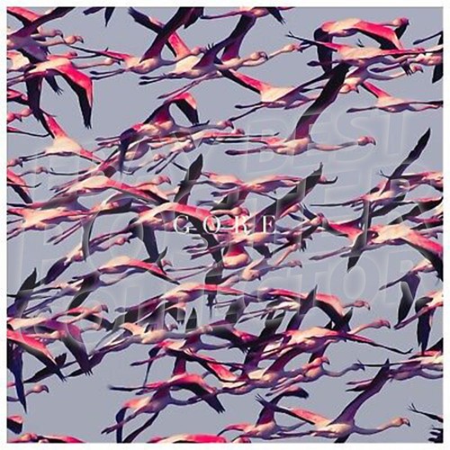Deftones Gore Banner Album Cover Poster v2 | eBay
