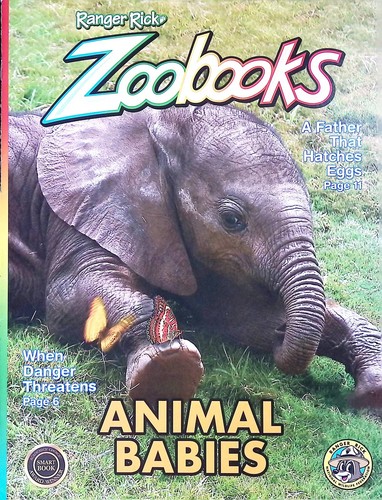 Zoo Books Ranger Rick 2023 ANIMAL BABIES Magazine Wildlife Federation ...