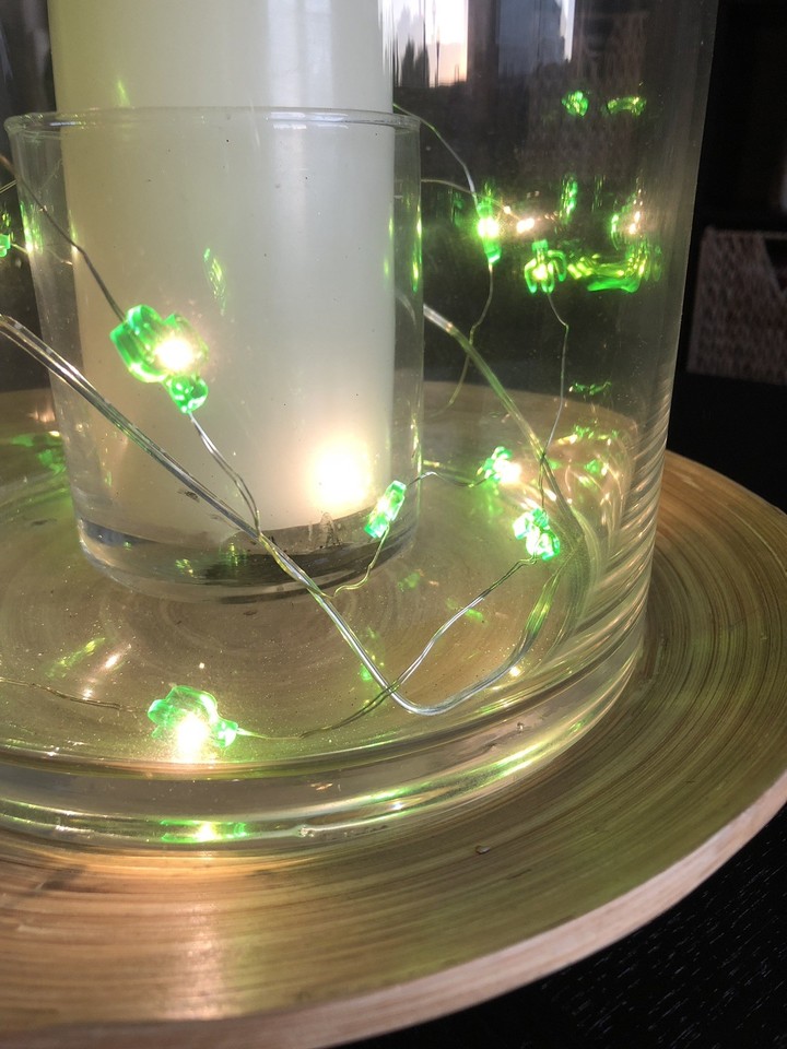 Mini Green Cactus Wire Lights LED Battery Power Fairy Craft Wedding ...