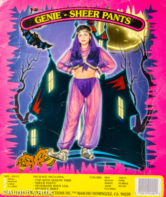 Genie Costume 4Pc Crop Top Sheer Pants W/ Solid Panties & Veiled Sequin ...