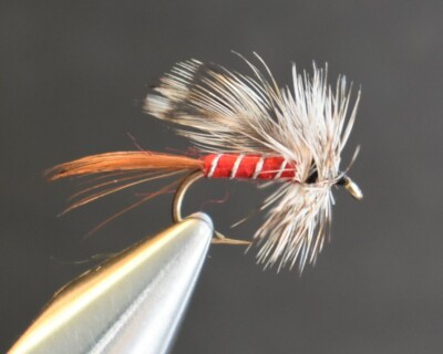 1 Fly, Size 12, PANAMARA RED SPINNER Fly Fishing Flies | eBay